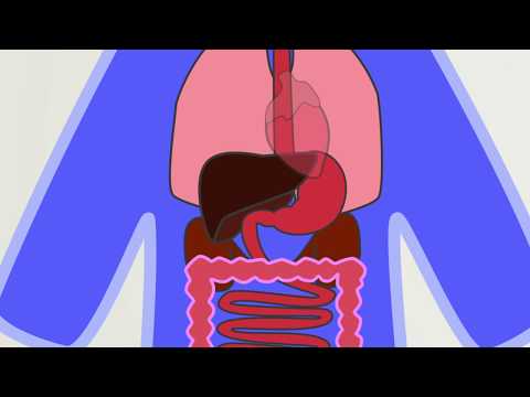 What is PSC Primary Sclerosing Cholangitis (International) by PSC Partners