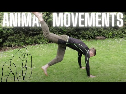 Beginner Animal Movements To Increase Coordination Skills