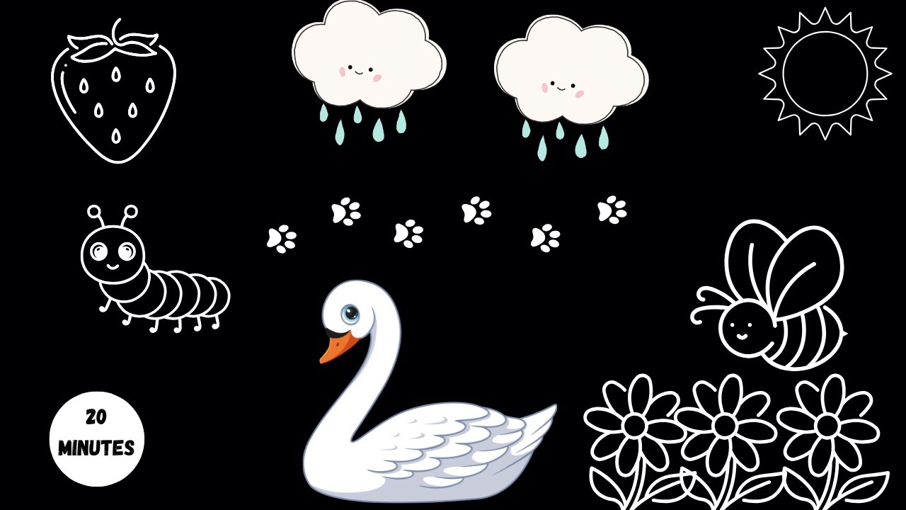 Calming High Contrast - Fun black and white sensory video!