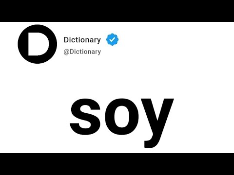 soy Meaning In English