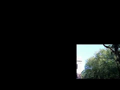 Oregon white oak (Quercus garryana) - Plant Identification