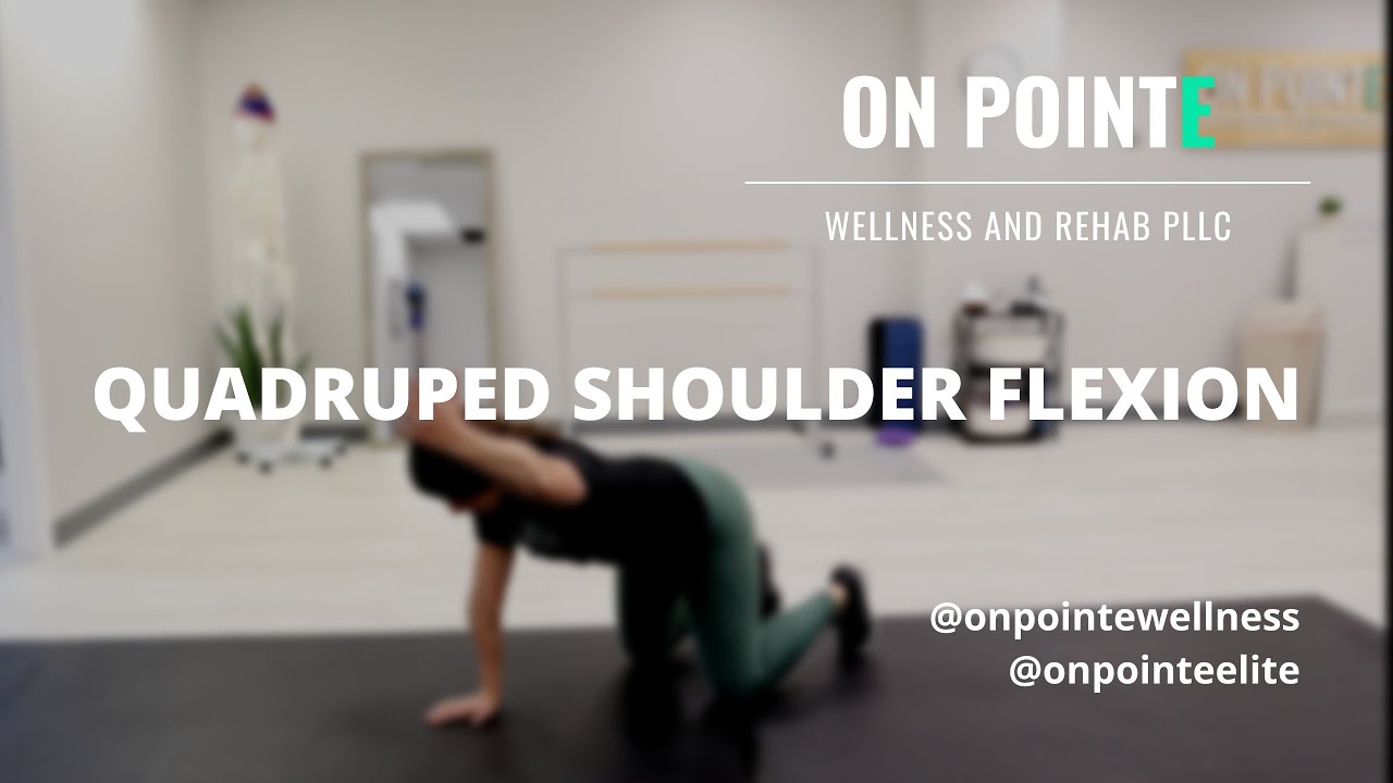 Quadruped Shoulder Flexion