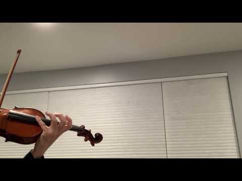 Salvadore de Durro Violin 1903 | Reverb Australia