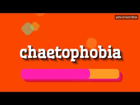 CHAETOPHOBIA - HOW TO PRONOUNCE IT!?
