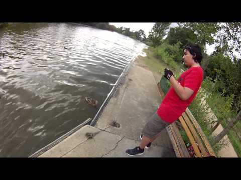 Lac des Minimes - Bois de Vincennes - 10/08/2014