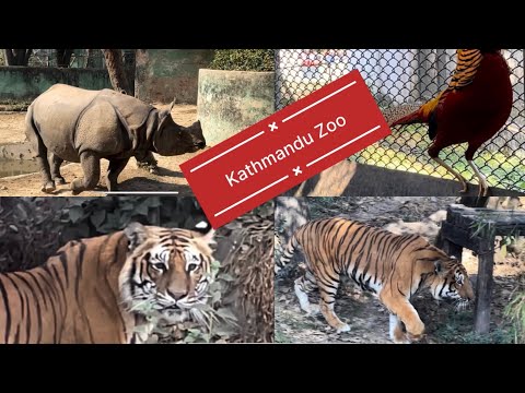 JAWALKHEL Zoo || Kathmandu Nepal