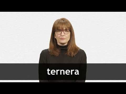 English Translation of “TERNERA” | Collins Spanish-English Dictionary