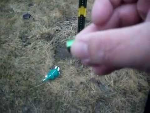 Leap Day Geocaching