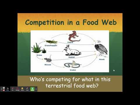 Limiting Factors