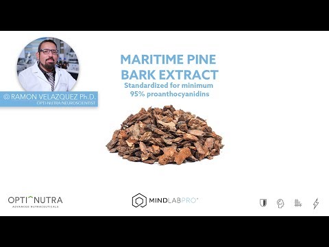 Maritime Pine Bark Extract with Dr. Ramon Velazquez, Ph.D. | Mind Lab Pro®