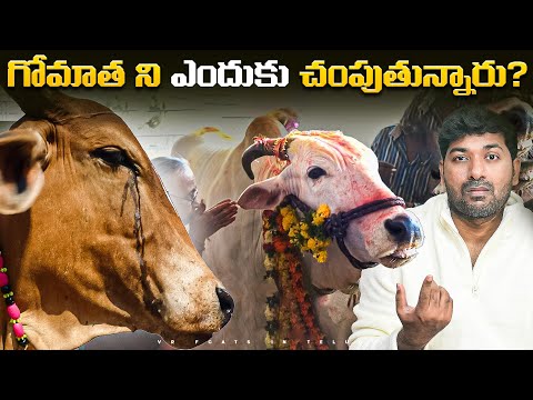 హిందువులు ఎందుకు Beef తింటున్నారు ? | Telugu Facts | V R Raja Facts