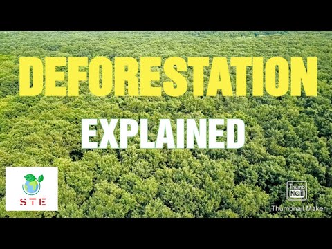 What is Deforestation - Environmental Studies