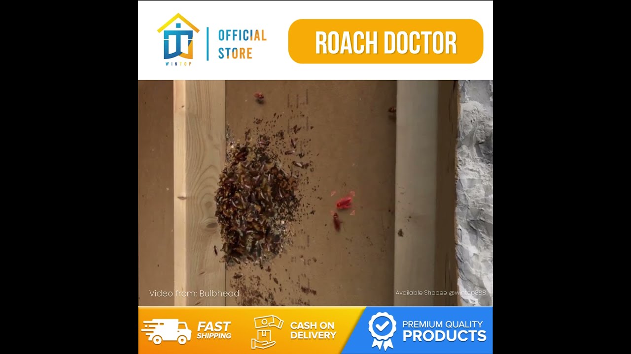 Roach Doctor Get rid of the Cockroach easily | Wintop Official Store