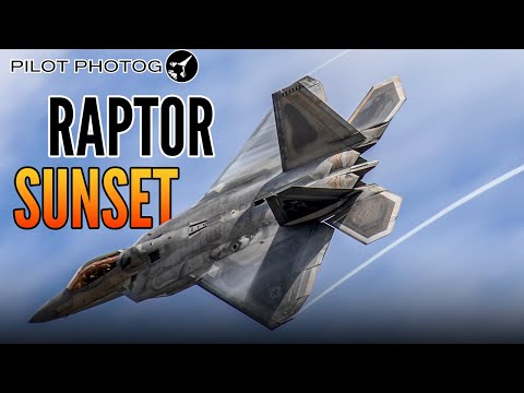 Raptor Sunset