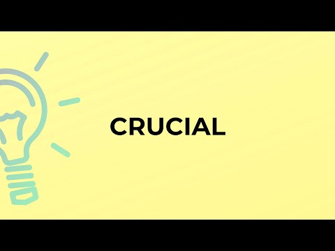 What is the meaning of the word CRUCIAL?