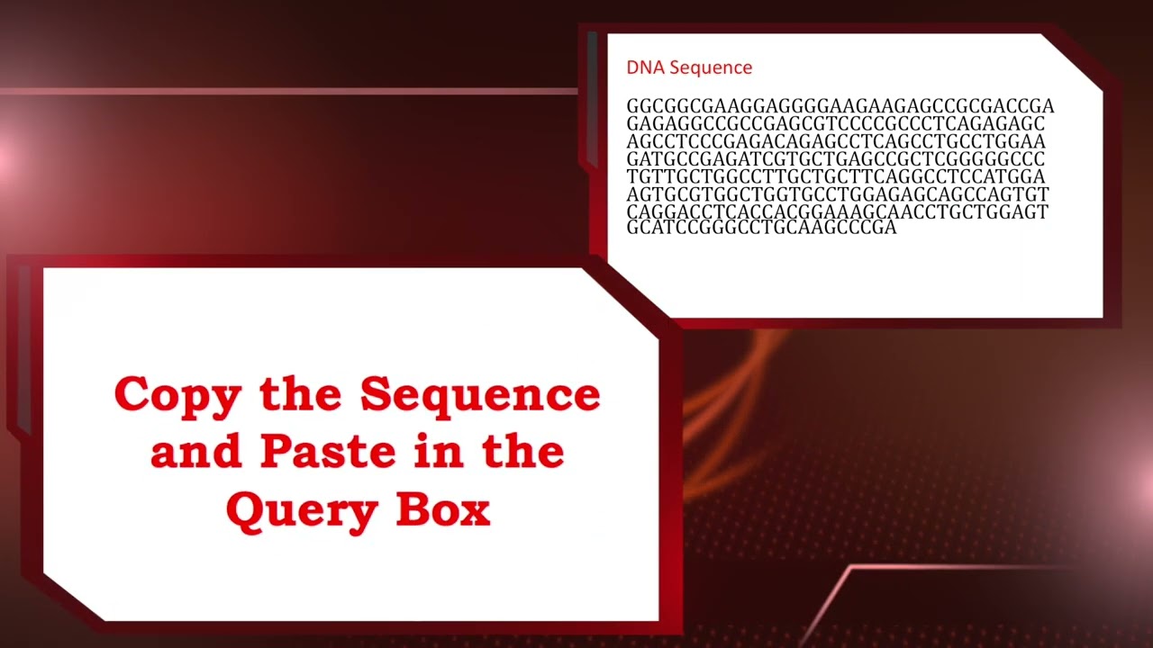 Reverse Complement Sequence