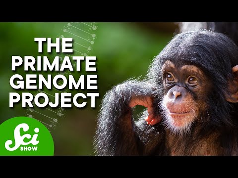 The OTHER Genome Project That’s Transforming Medicine