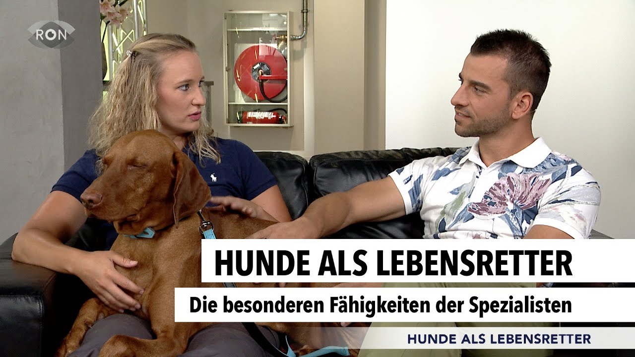Hunde als Lebensretter | RON TV |