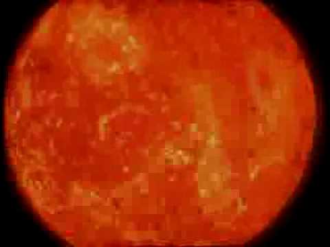 Bipolar Planetary Nebula Animation: A Giant Star Swallows Its Companion