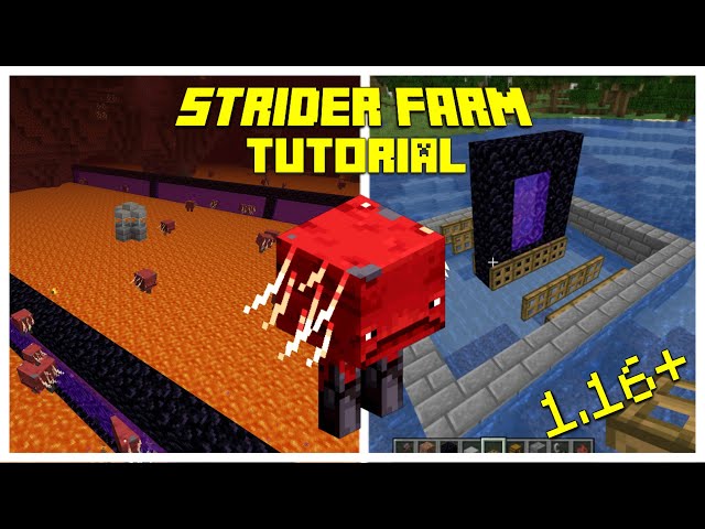 Top 3 uses of Striders in Minecraft