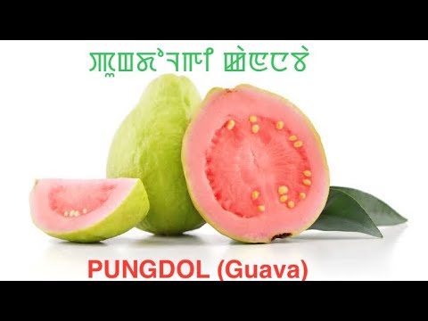PUNGDOL (ꯄꯨꯡꯗꯣꯜ) Psidium guajava-Nutritional & Medicinal Properties in Manipuri