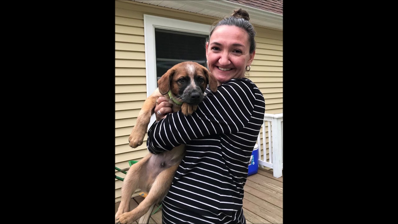 ACDRA 2019 Adoptions