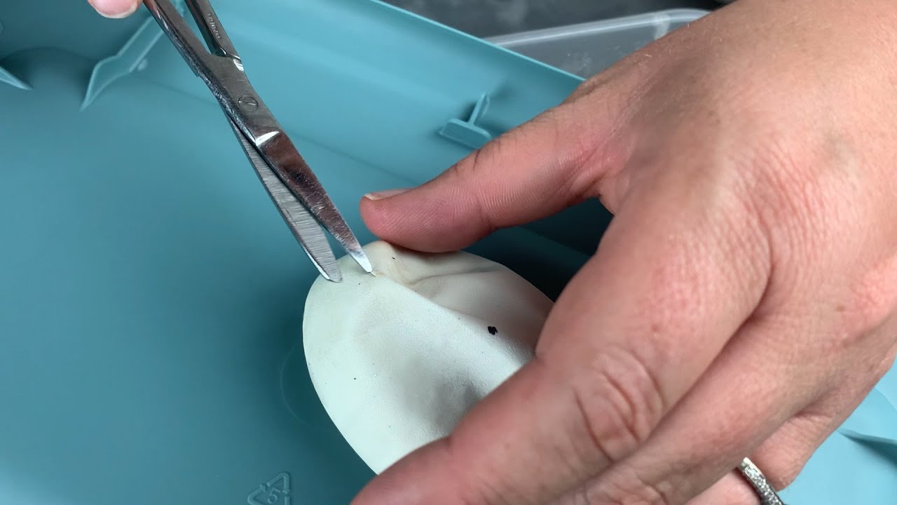 Ball Python Special Egg Cutting!!! 2 Clutches!!