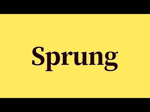 Sprung Pronunciation and Meaning