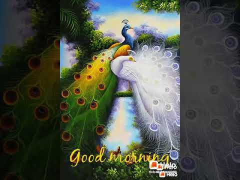 Good morning gif