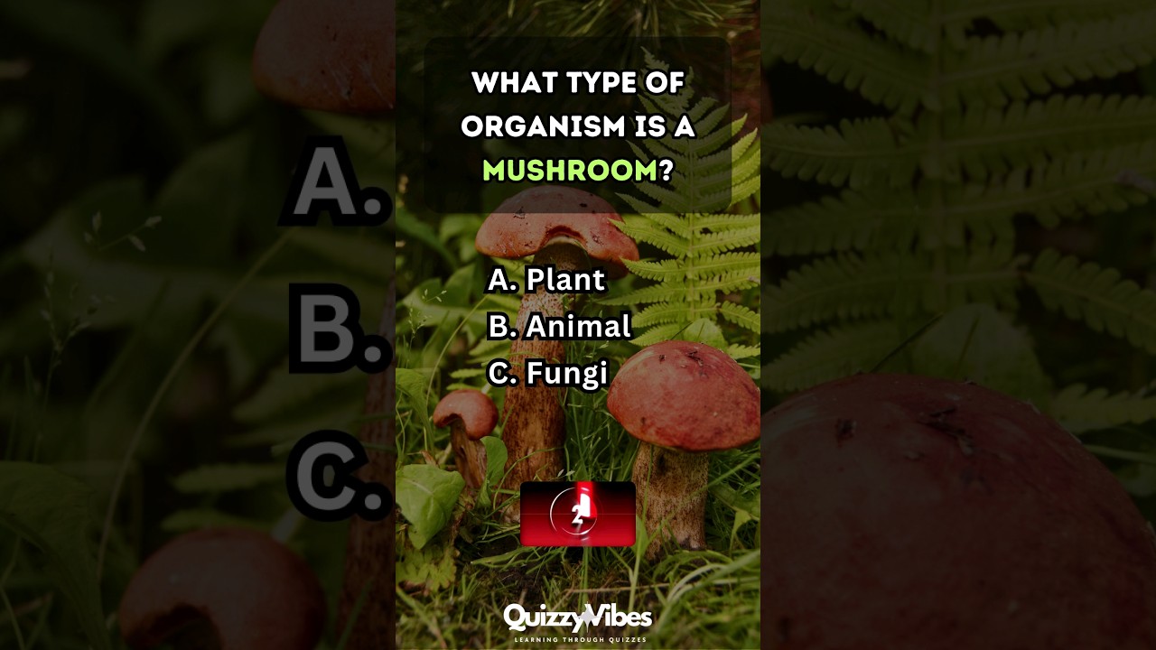 🌌 Science Quiz Challenge: Can You Get All 5 Right? 🧪