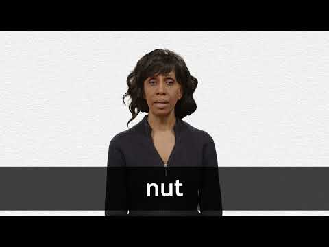 NUT definition and meaning | Collins English Dictionary