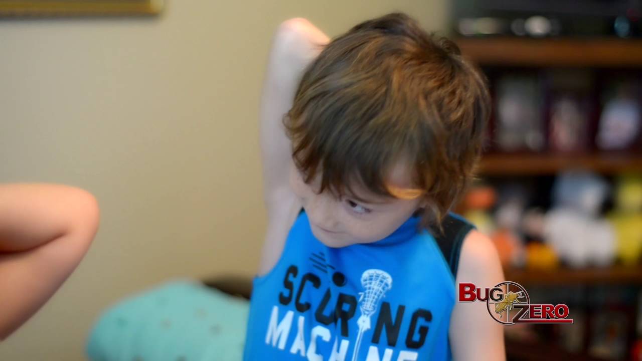 Bug Zero Focus on Home Tip | Bed Bugs