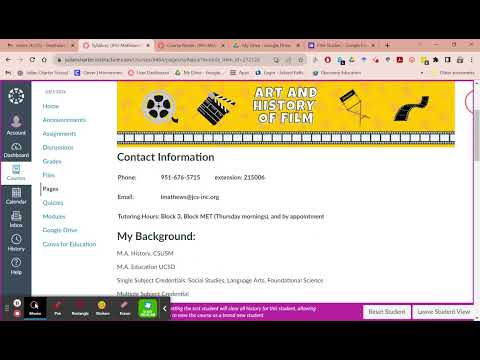 Art and History of Film Overview