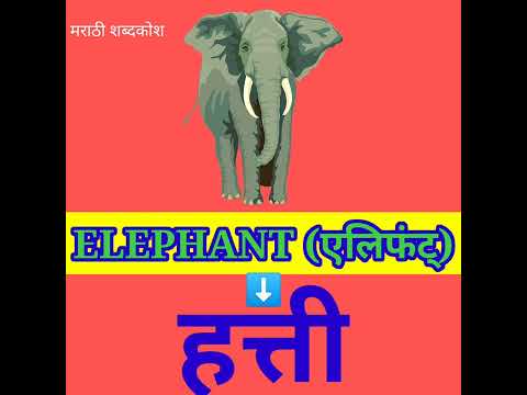 elephant meaning in marathi 🤔🙄#shorts #viral #meaning #trending #new #2022 #education #translation