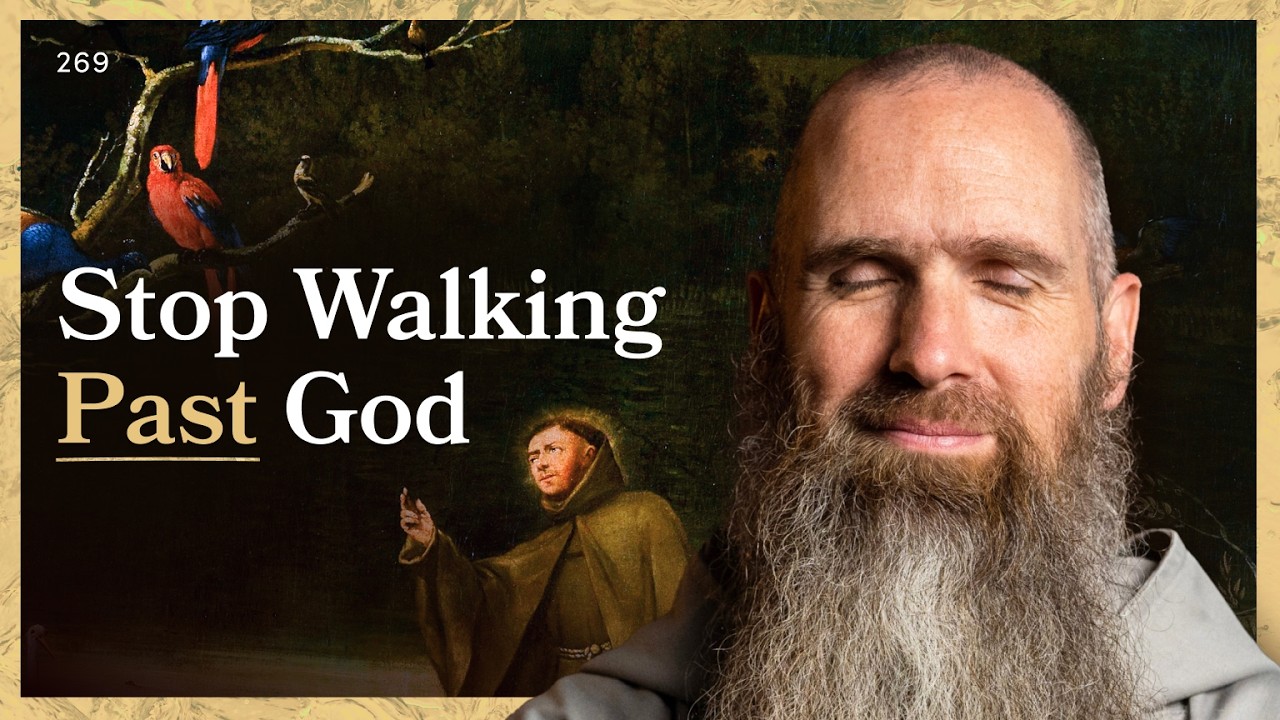 You’re Missing God in Plain Sight | LITTLE BY LITTLE | Fr Columba Jordan CFR