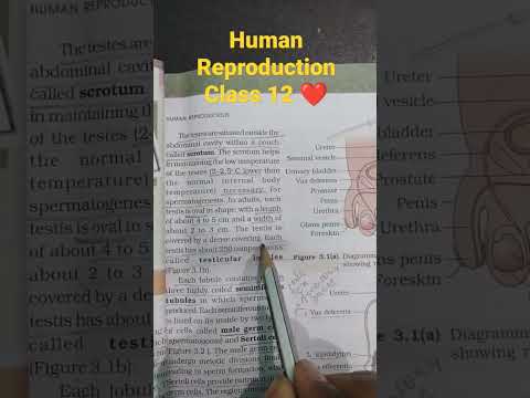 Class 12 Biology. Human Reproduction #biology #neet #mcqs #viral #entrance