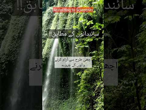 Importance of rest | rest in urdu #shorts #youtubeshorts #urdu #urduquotes #urdustatus