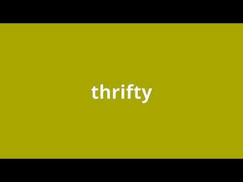 what is the meaning of thrifty