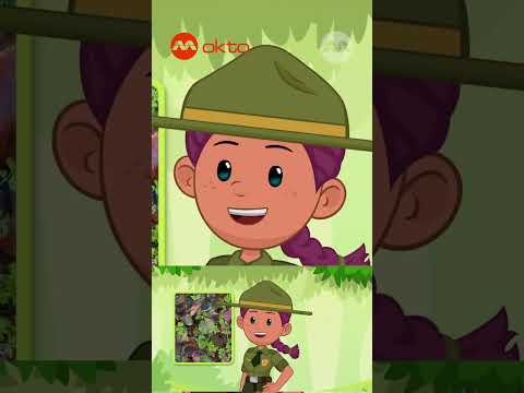 POISON DART FROG SKIN TOXIN β οΈπΈπ₯ | Leo the Wildlife Ranger #shorts 41 | @mediacorpokto