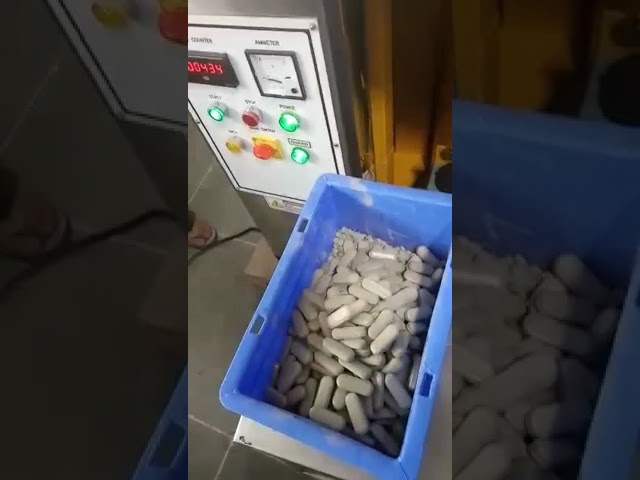 Bolus & Veterinary Tablet Press Machine - PT-SP-BM4-12 Veterinary Bolus ...