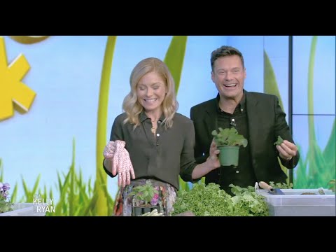Spring has Sprung: Spring Gardening