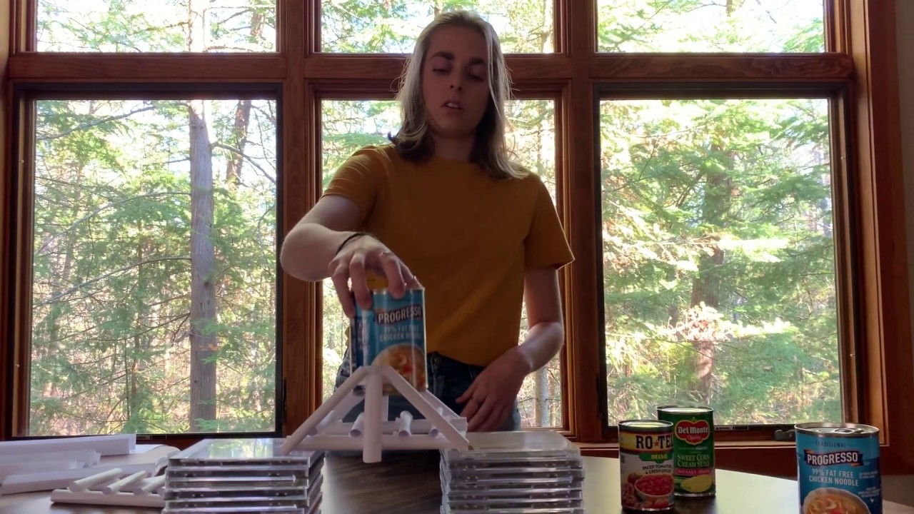 At Home Paper Bridge Experiment