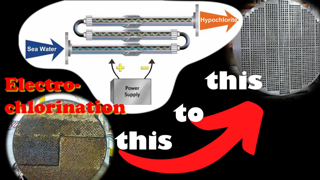 Seawater Electro-chlorination | Working Principle