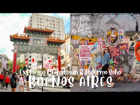 Argentina | Street Art in Palermo Soho & Seeing Chinatown in Buenos Aires Vlog #6