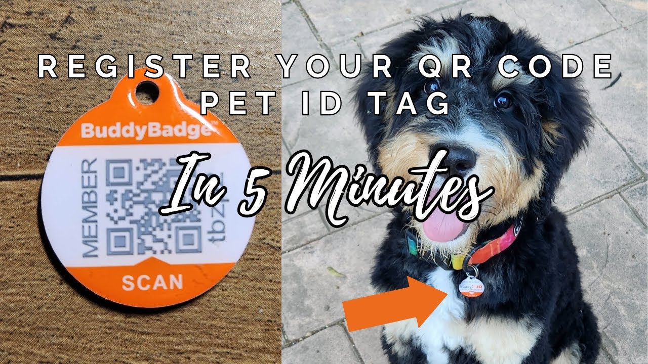 How to register a QR code pet ID tag in 5 minutes