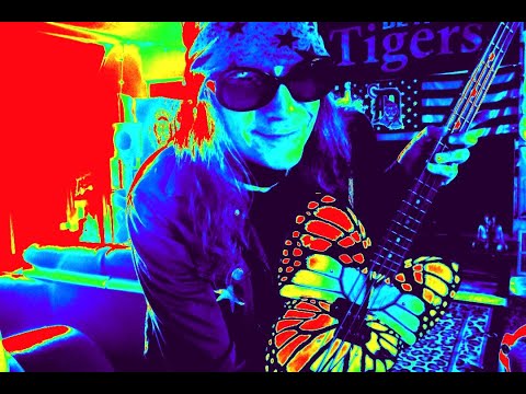 Daisy Rock Butterfly 30" Short Scale Bass guitar 2005 La | Reverb