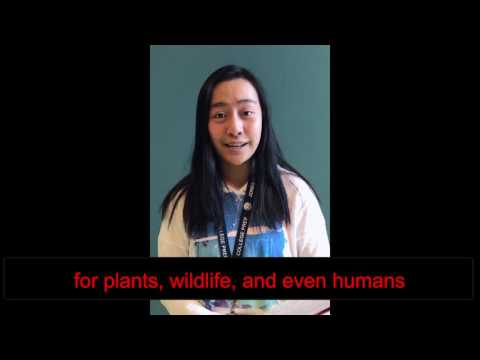 Green Team PSA On Plastic Water Bottles