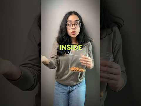 Prepositions- In, Into, Inside | English Grammar Lesson #learnenglish #speakenglish #prepositions