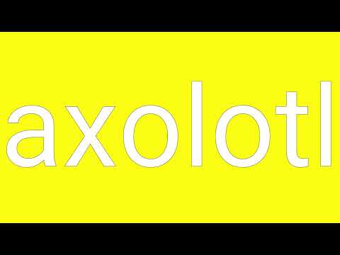 Axolotl Definition & Meaning