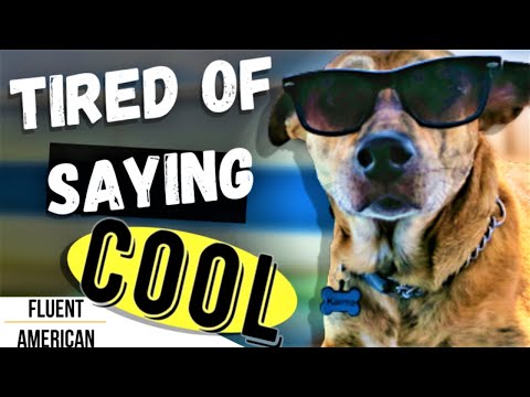 Other Ways to Say Cool in English | Cool Synyonyms